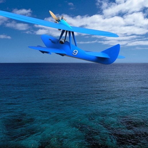 Download STL file Flying boat-fighter "IM". Shavrov. Project. 1930 ...