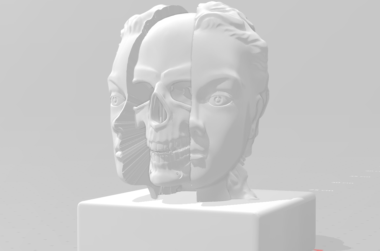 Download STL file Splitted woman's head with skull • 3D print template ...