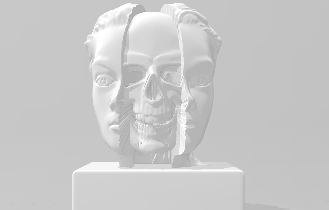 Download STL file Splitted woman's head with skull • 3D print template ...