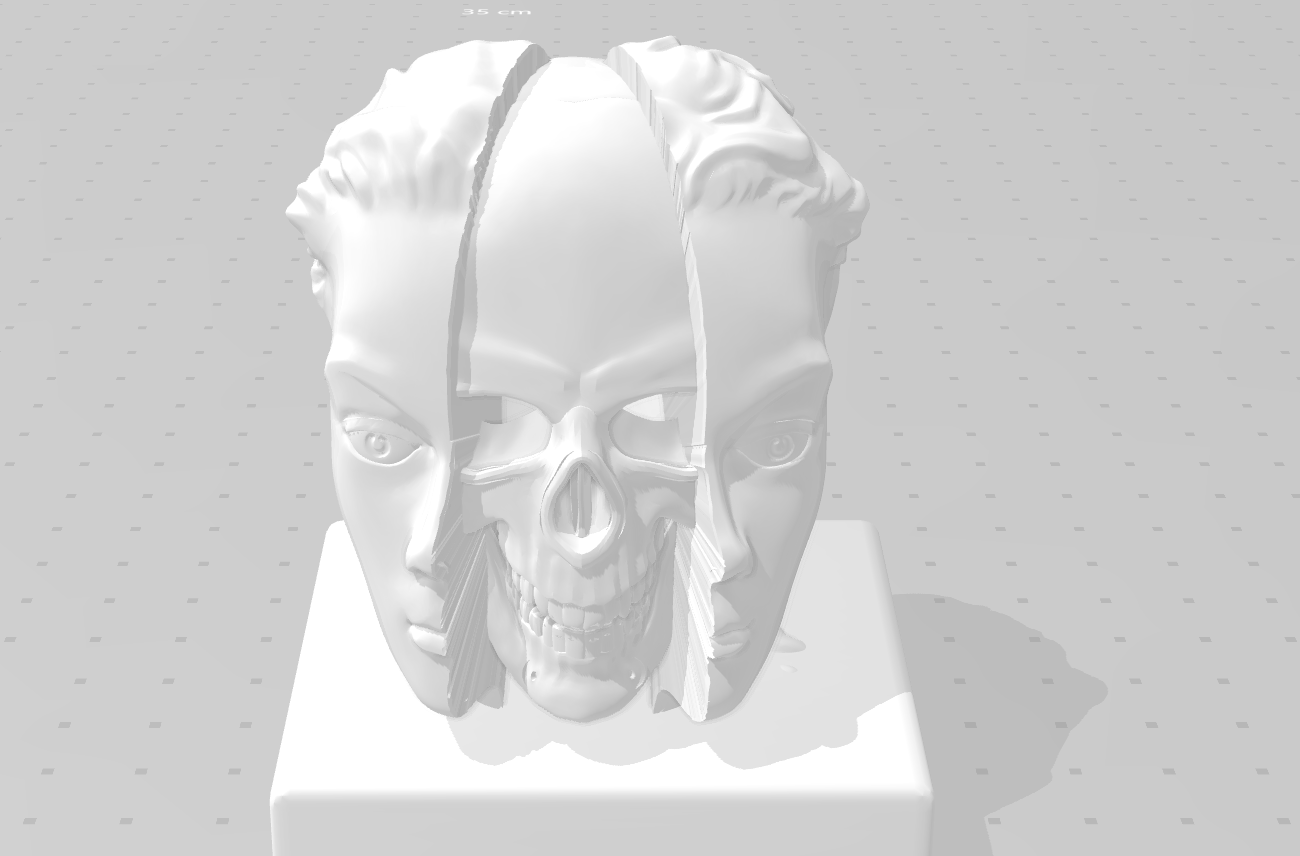 Download STL file Splitted woman's head with skull • 3D print template ...