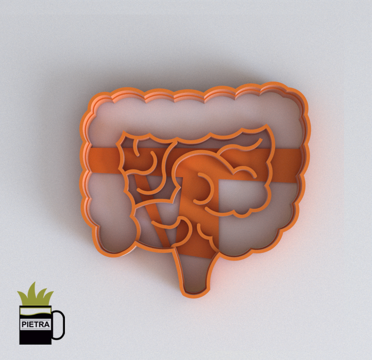 STL file CUTTING MOULD OF FONDANT BISCUITS OF HUMAN BODY ORGANS ...