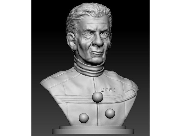 Free STL file The Prisoner・3D printer model to download・Cults