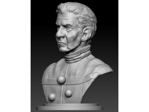 Free STL file The Prisoner・3D printer model to download・Cults