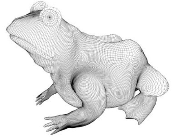 Free STL file A frog・3D print object to download・Cults