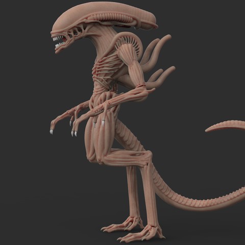 Download 3D printer files Alien Pose ・ Cults