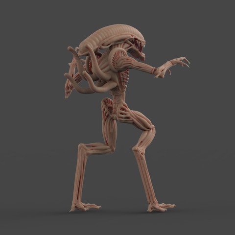 Download 3D printer files Alien Pose ・ Cults