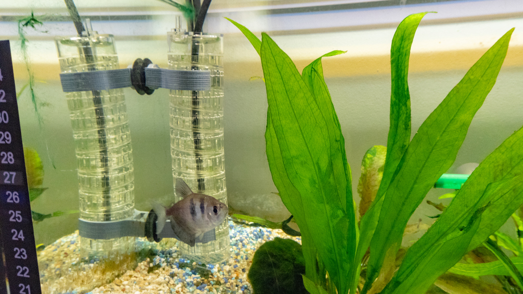 Free 3D file JBL CO2 Reactor Holder・3D printable model to download・Cults