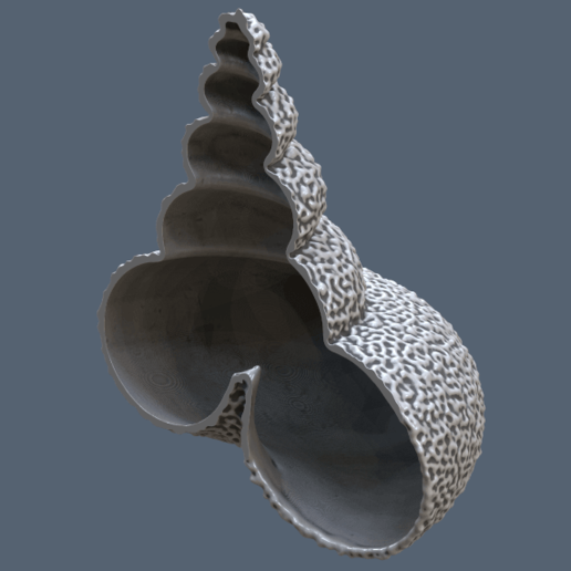 Download 3D printing designs Shell V1 ・ Cults