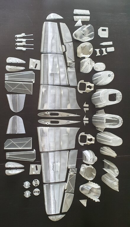 3D file PZL38 Wilk 3d printed flying model・3D print object to download ...