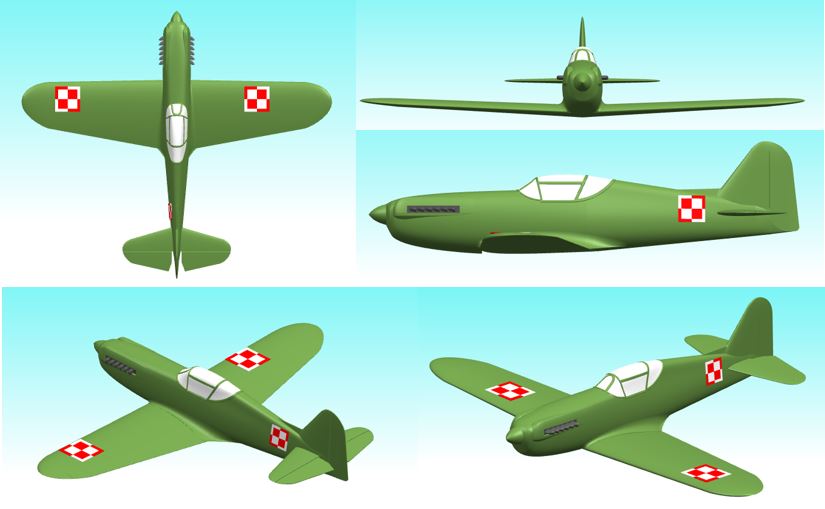 3D file PZL 55 3d printed flying 1:12 scale model・3D printing idea to ...