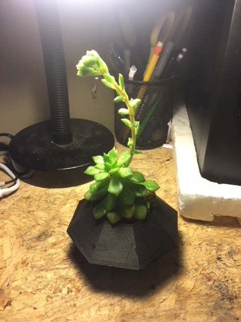 Free 3D file 2:1 Harmonic Octagonal Flower Pot (Succulent)・Model to ...