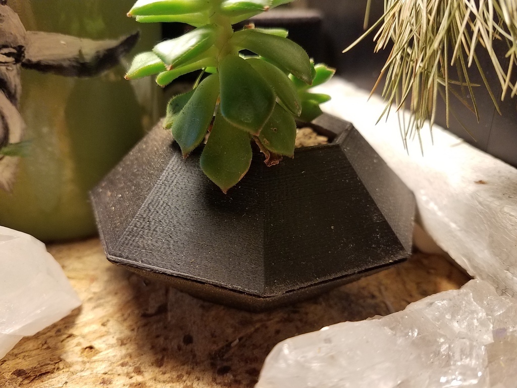 Free 3D file 2:1 Harmonic Octagonal Flower Pot (Succulent)・Model to ...