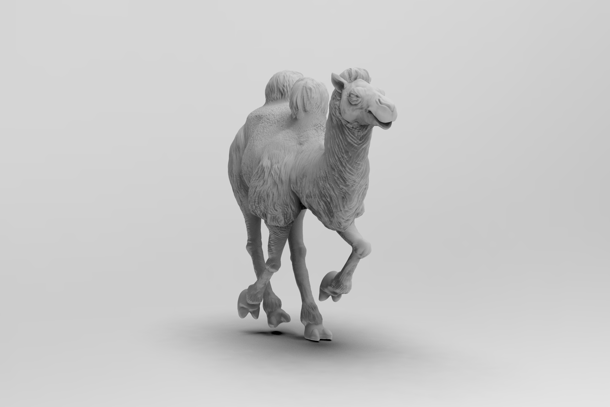 STL file Camel Bactrian #4・3D printer design to download・Cults