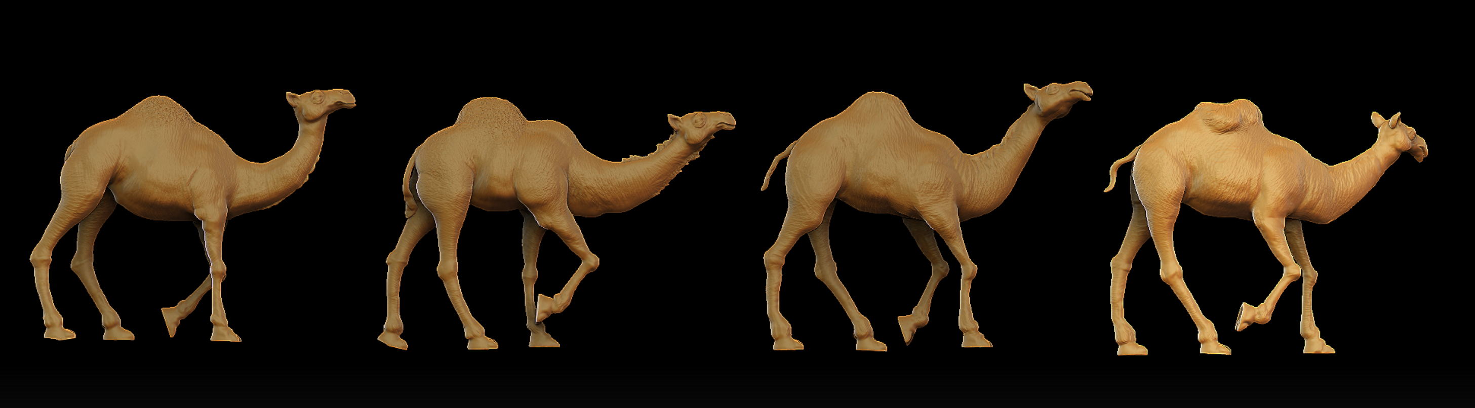 STL file Camel Dromedary #7・3D printer model to download・Cults