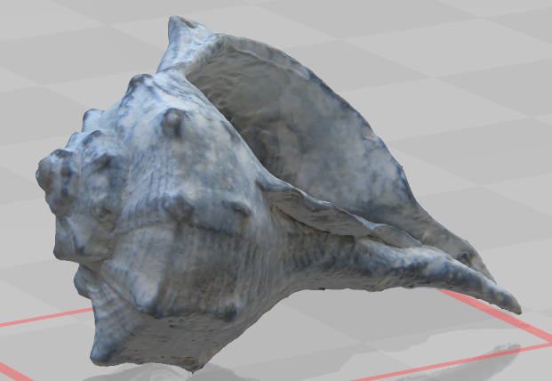 Free STL file Shells for everyone・3D print object to download・Cults