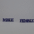 Download free 3D printer designs Text Flip, Male, Female ・ Cults