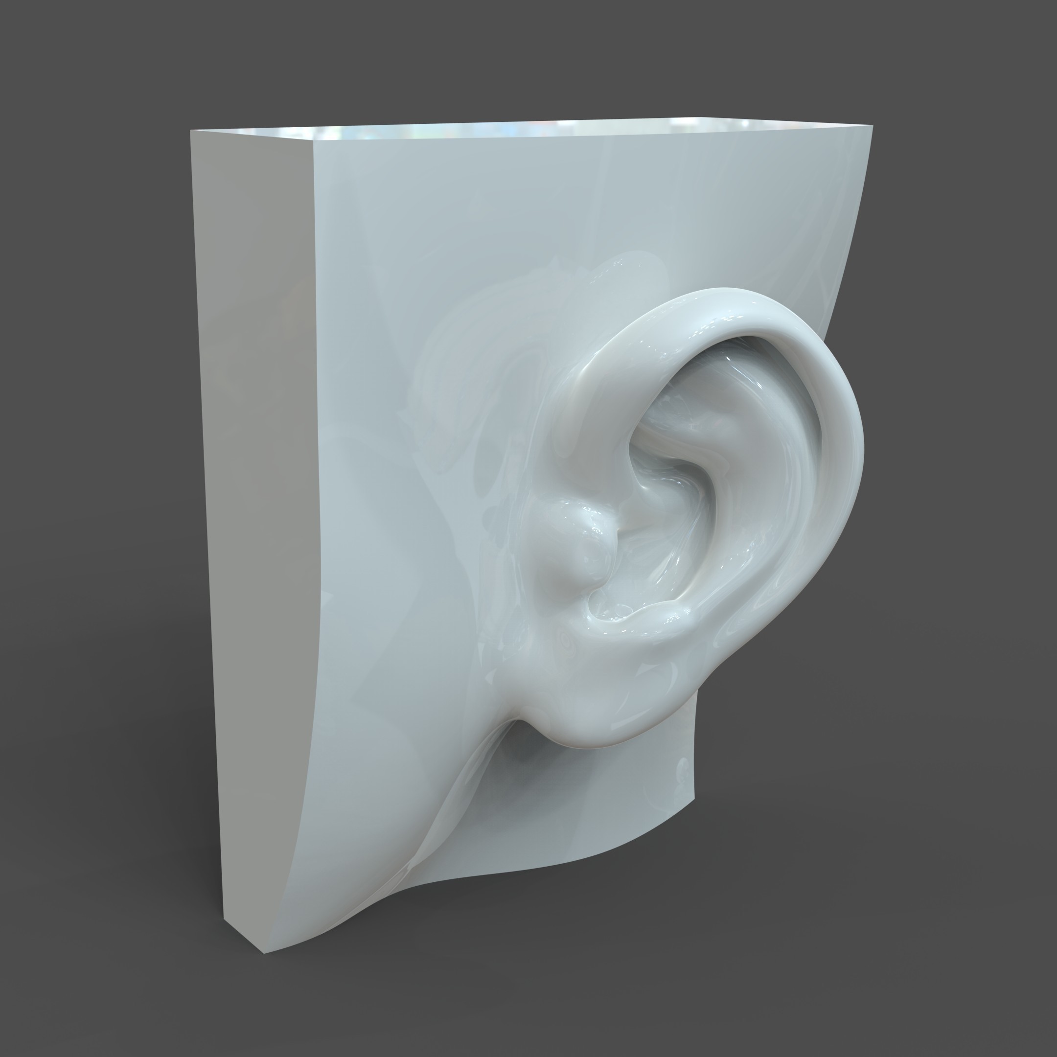 Fichier STL Oreille féminine réaliste grandeur nature・Plan pour ...
