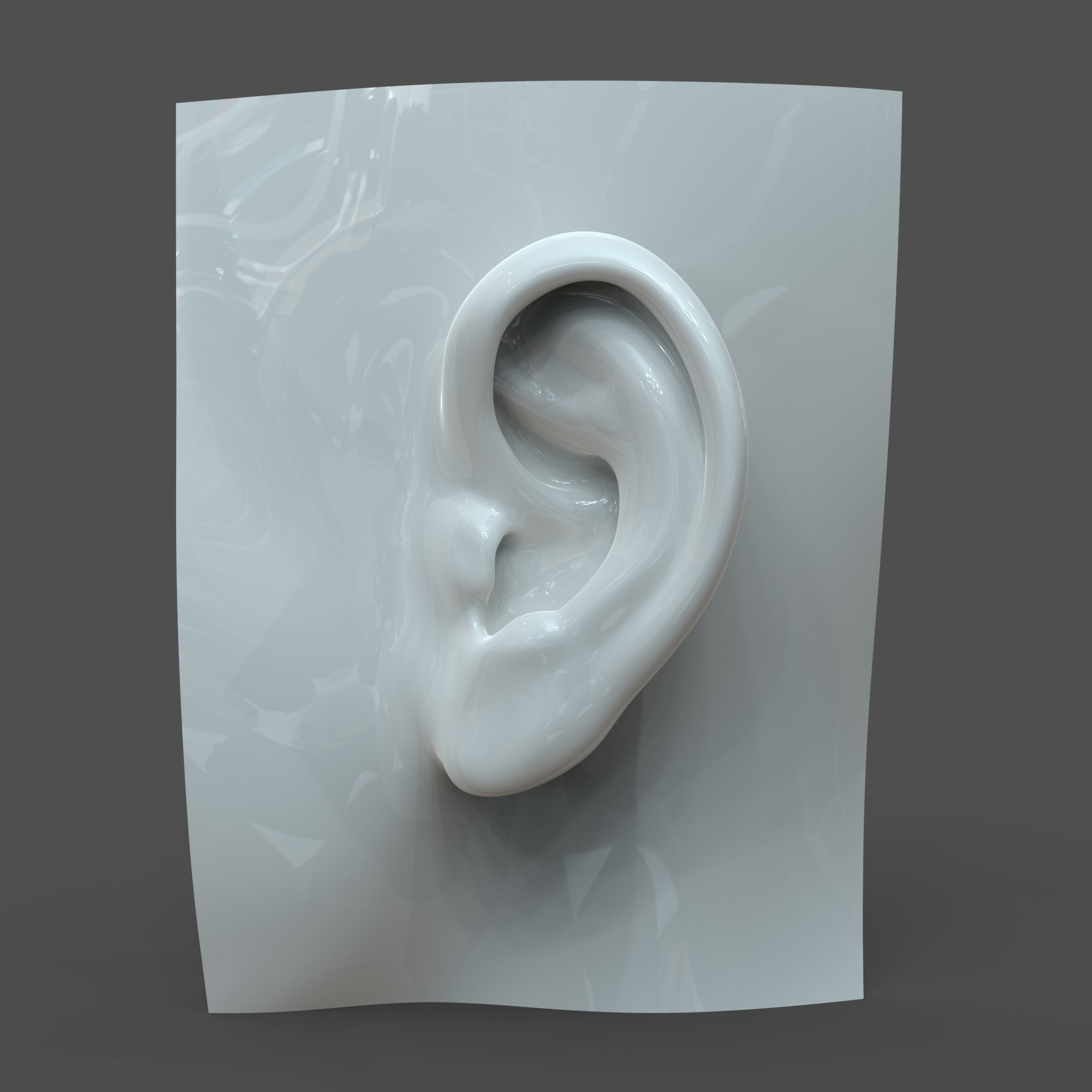 Fichier STL Oreille féminine réaliste grandeur nature・Plan pour ...