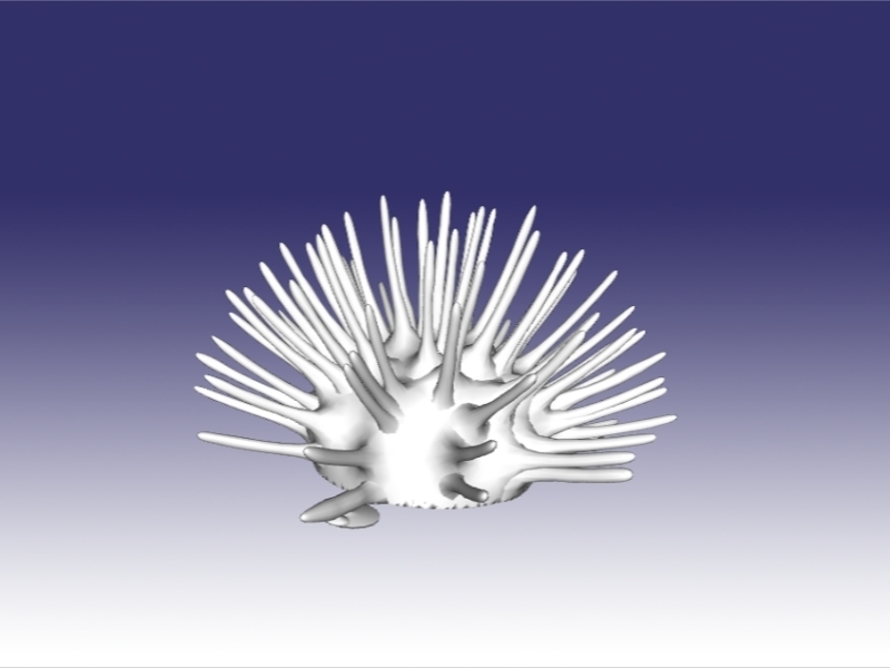 OBJ file Sea Urchin・3D printable model to download・Cults