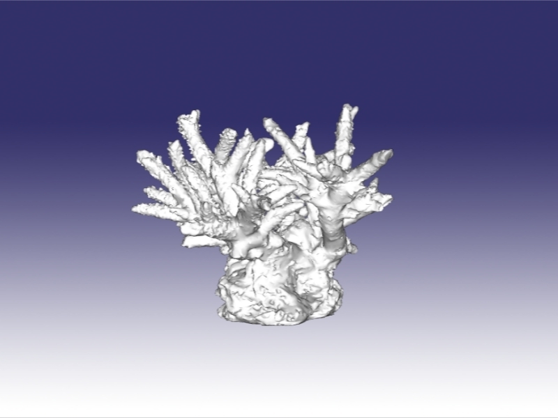 Download OBJ file Coral • 3D printing object ・ Cults