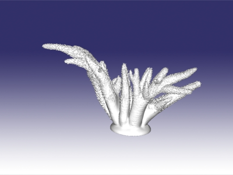 OBJ file Coral scan・3D printable model to download・Cults