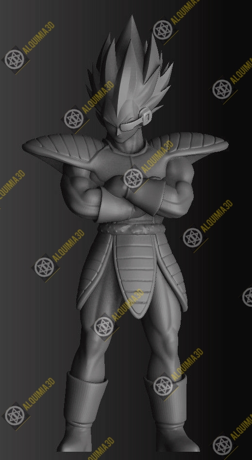 OBJ file Vegeta (classic armor)・Model to download and 3D print・Cults