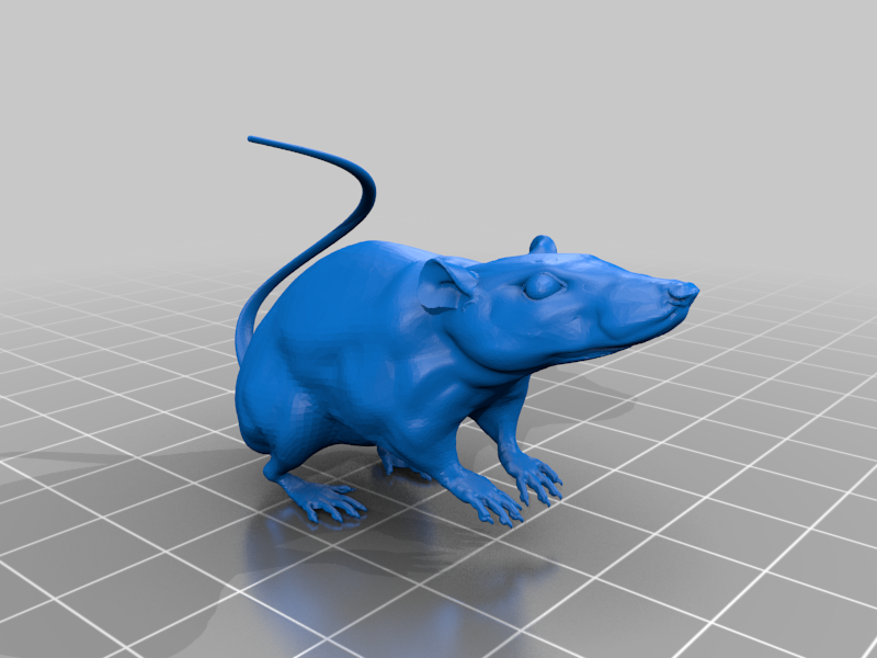 Free 3D file Rat remix without whiskers 🐀・3D printer design to download ...