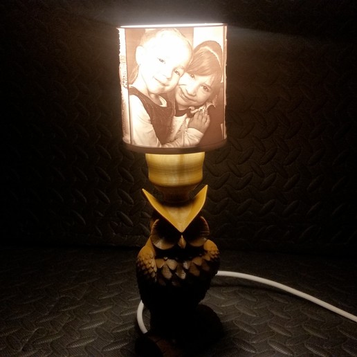 Download STL file Owl Lamp Litophane E27 bulb • 3D print object ・ Cults