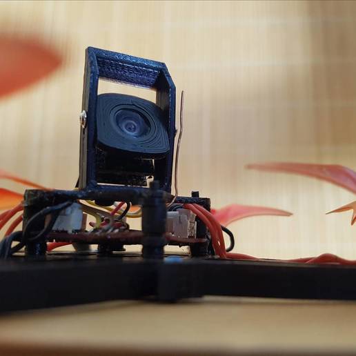 Download free 3D printing templates GR1FF S 2.5" 2020 Toothpick Frame ...