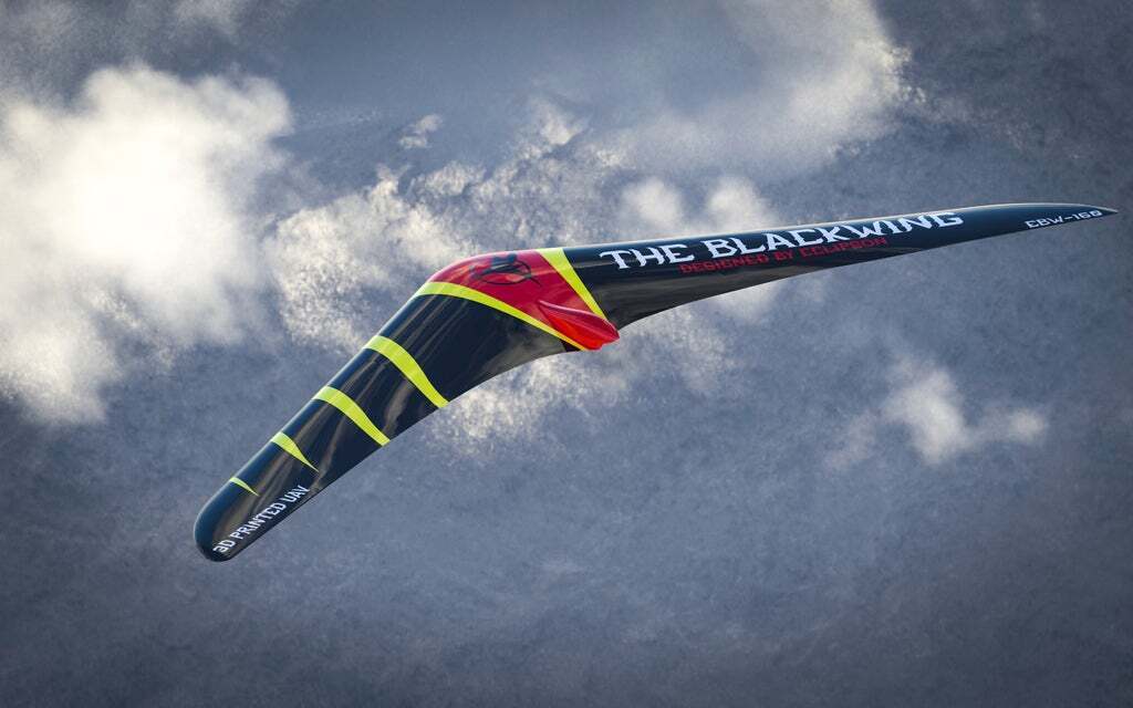 Free STL file Test part - Flying wing - UAV - The Blackwing - 🪶・3D ...