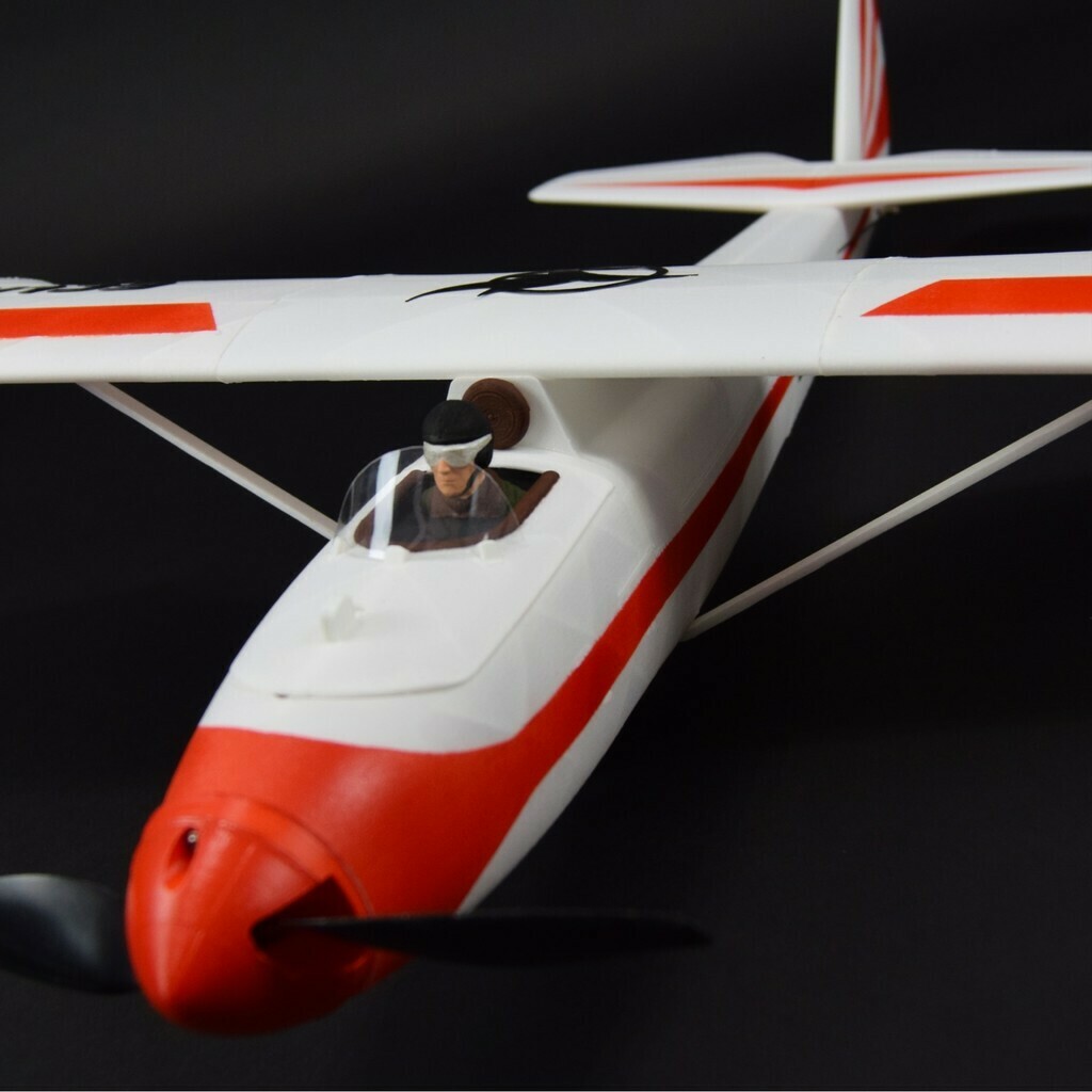 Archivo 3D gratis AVIÓN RC - GÖ 1 WOLF・Diseño por impresión en 3D para ...