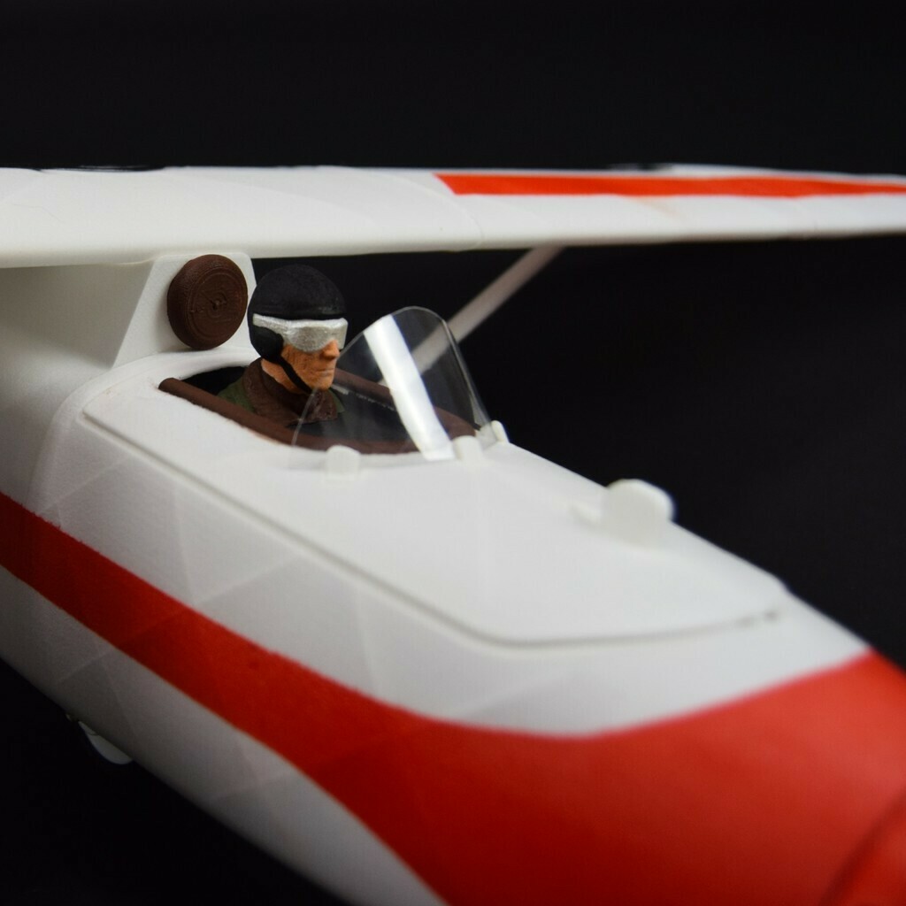 Free 3D file RC AIRPLANE - GÖ 1 WOLF・3D printable design to download・Cults