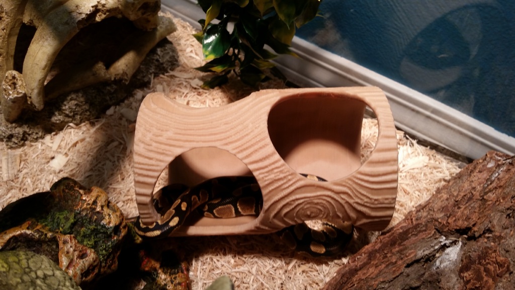 Free 3D file Snake Hide - Fake Log 🐍・3D printable model to download・Cults