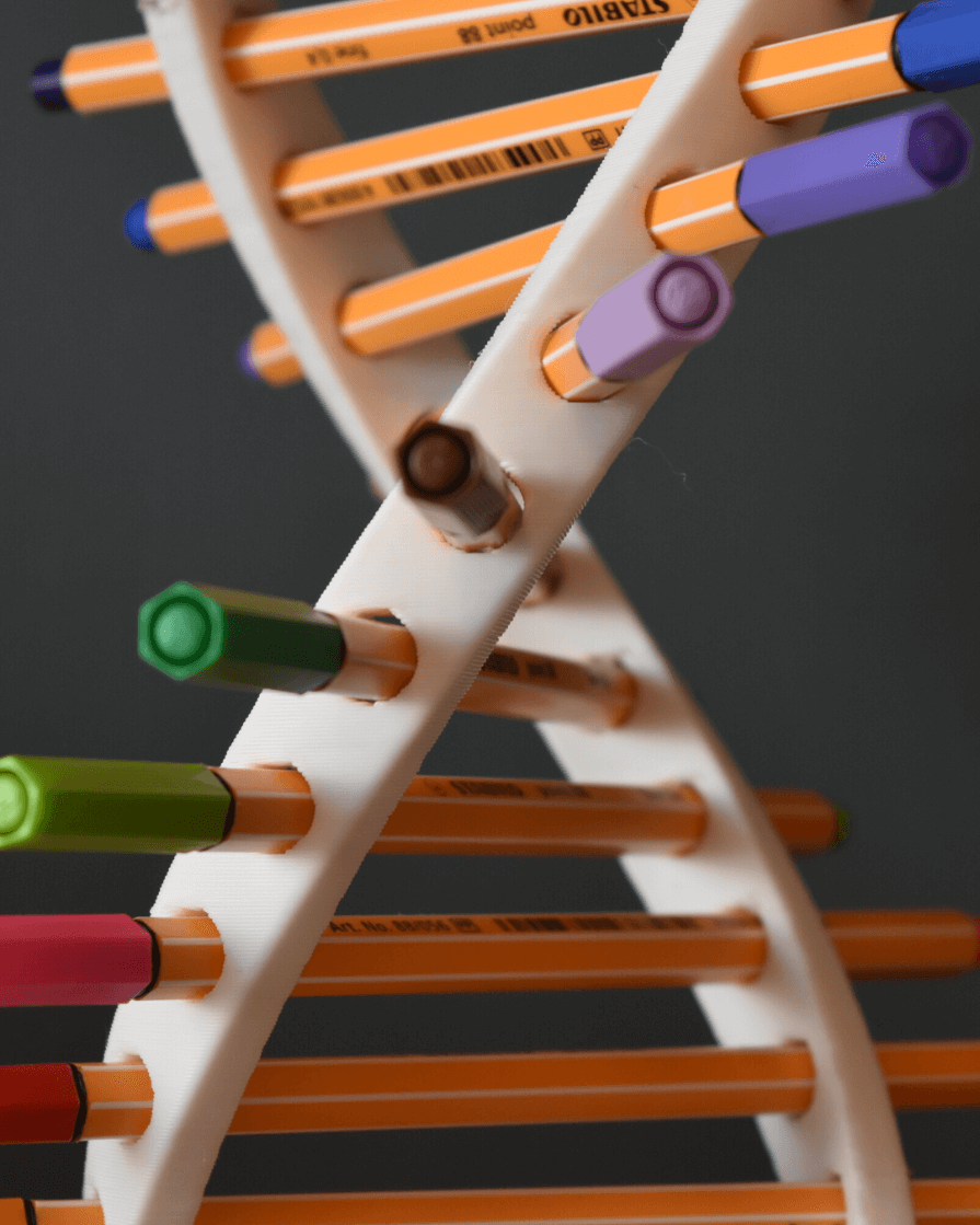 STL-Datei DNA Penholder by TIXEN・3D-Druckvorlage zum Herunterladen・Cults