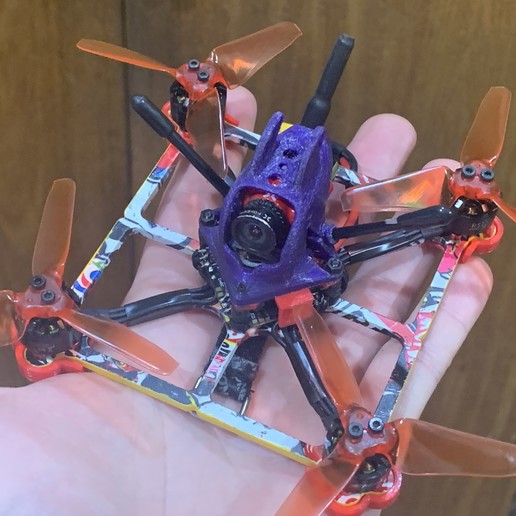 Download free 3D printer model Alien Toothpick Canopy - For 3" Drones ...