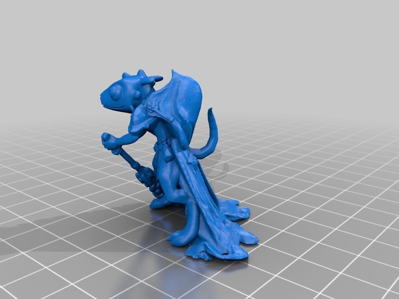Free 3D file Lizard Wizard・3D printer model to download・Cults