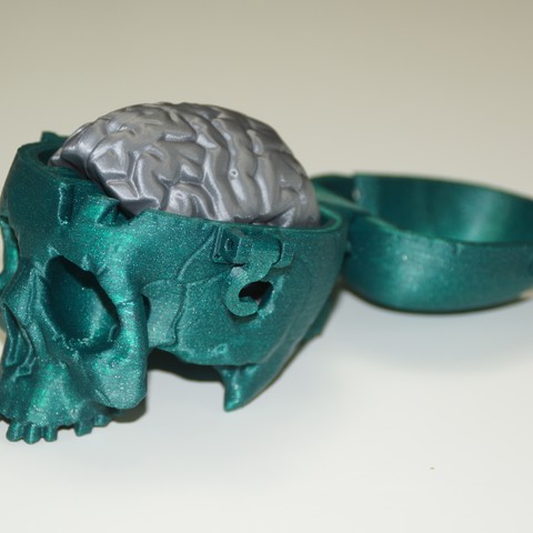 3D printing Boneheads: Skull Box w/ Brain - via 3DKitbash.com ・ Cults
