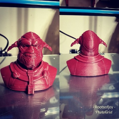 3D printed The Fifth Element Mangalore Bust (50mb) • made with CR-10S ...