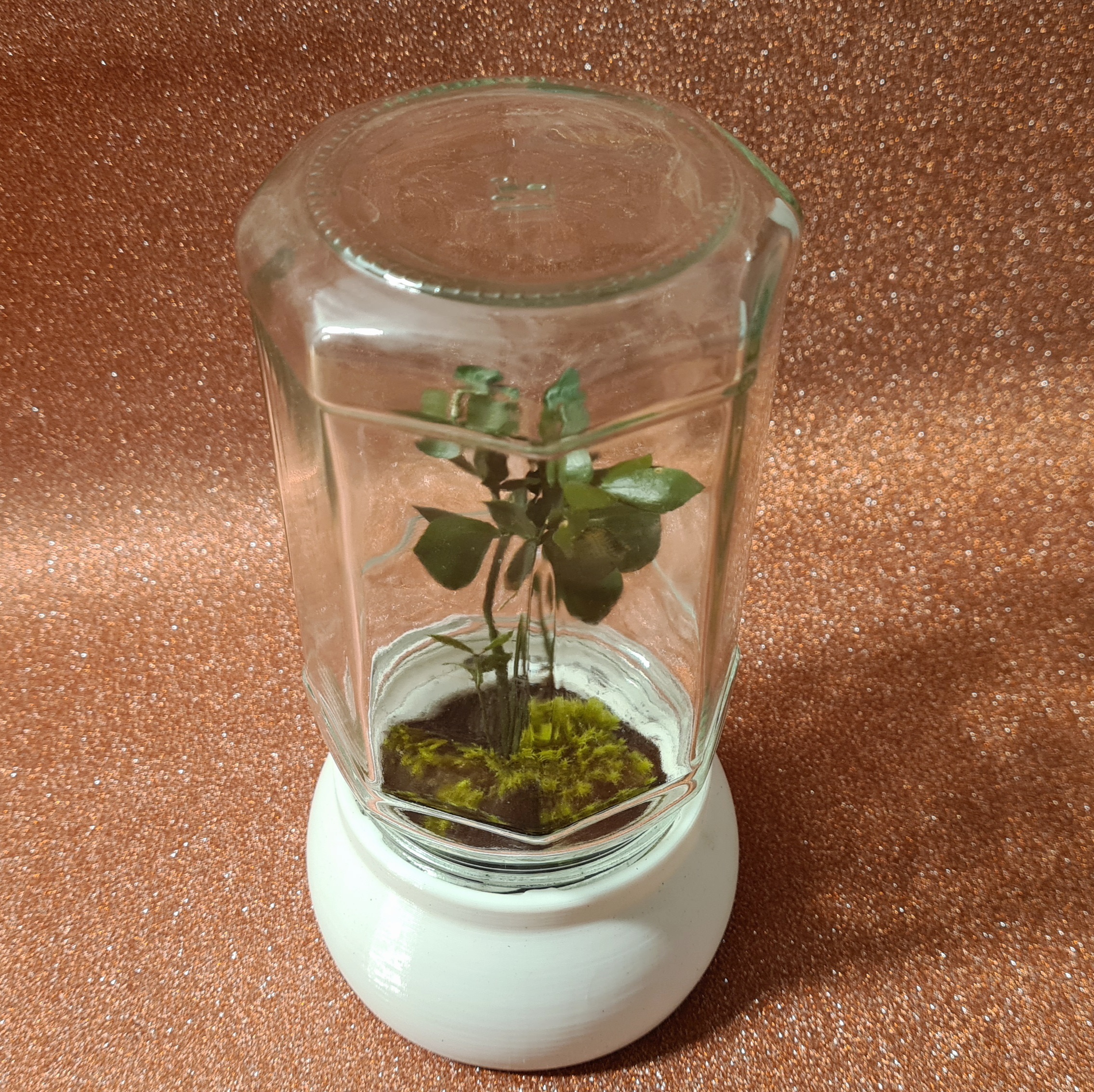 STL file Terrarium 🌿・Model to download and 3D print・Cults