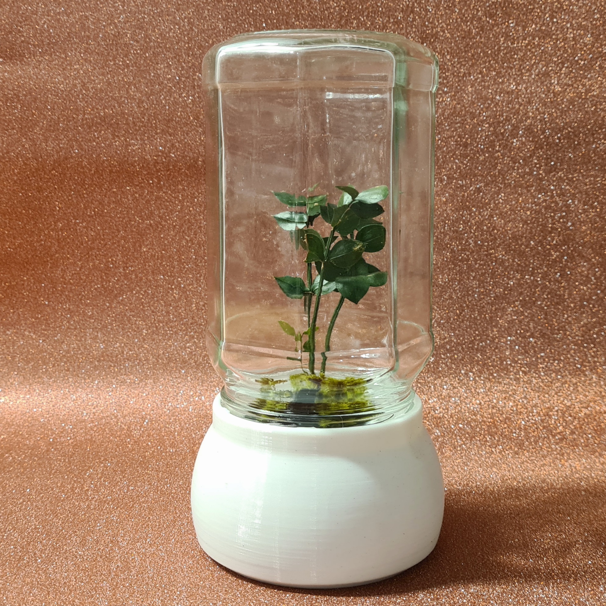 STL file Terrarium 🌿・Model to download and 3D print・Cults