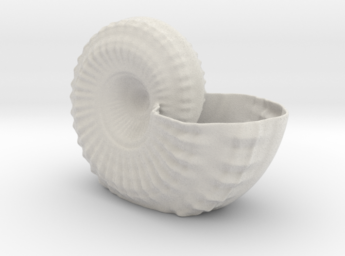 3D file Shell Planter・3D print design to download・Cults