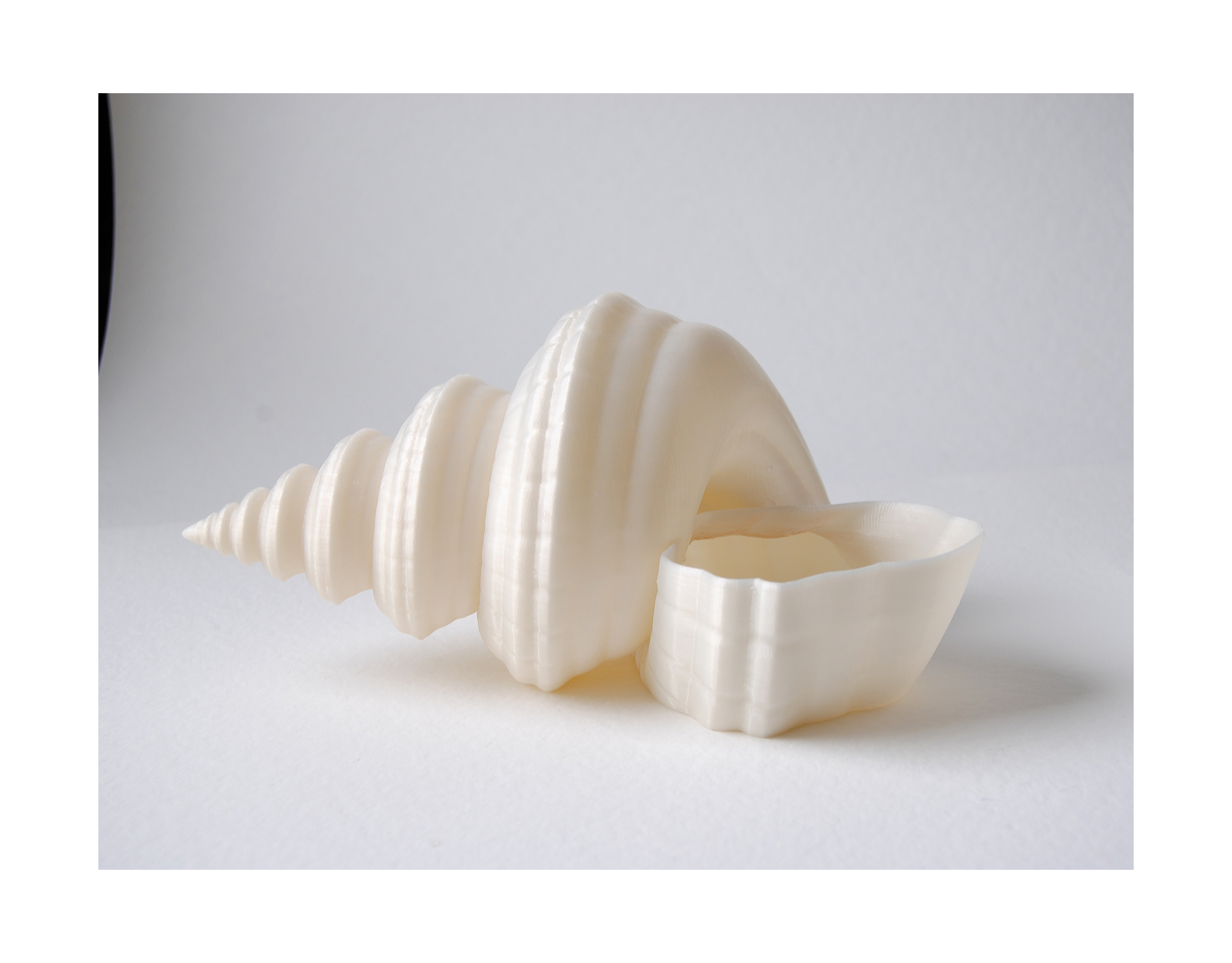 3D file Shell Planter・3D print design to download・Cults