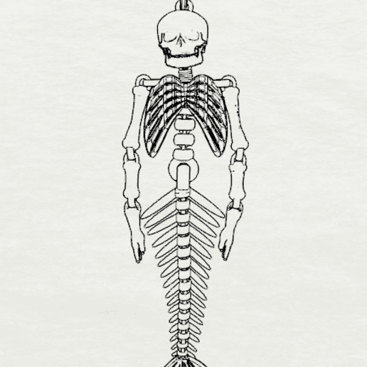 Download 3D printing files mermaid skeleton ・ Cults