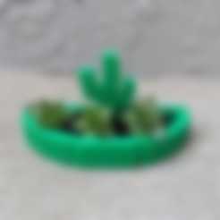Download free 3D printing templates Cactus Planter or Jewelry Holder ...