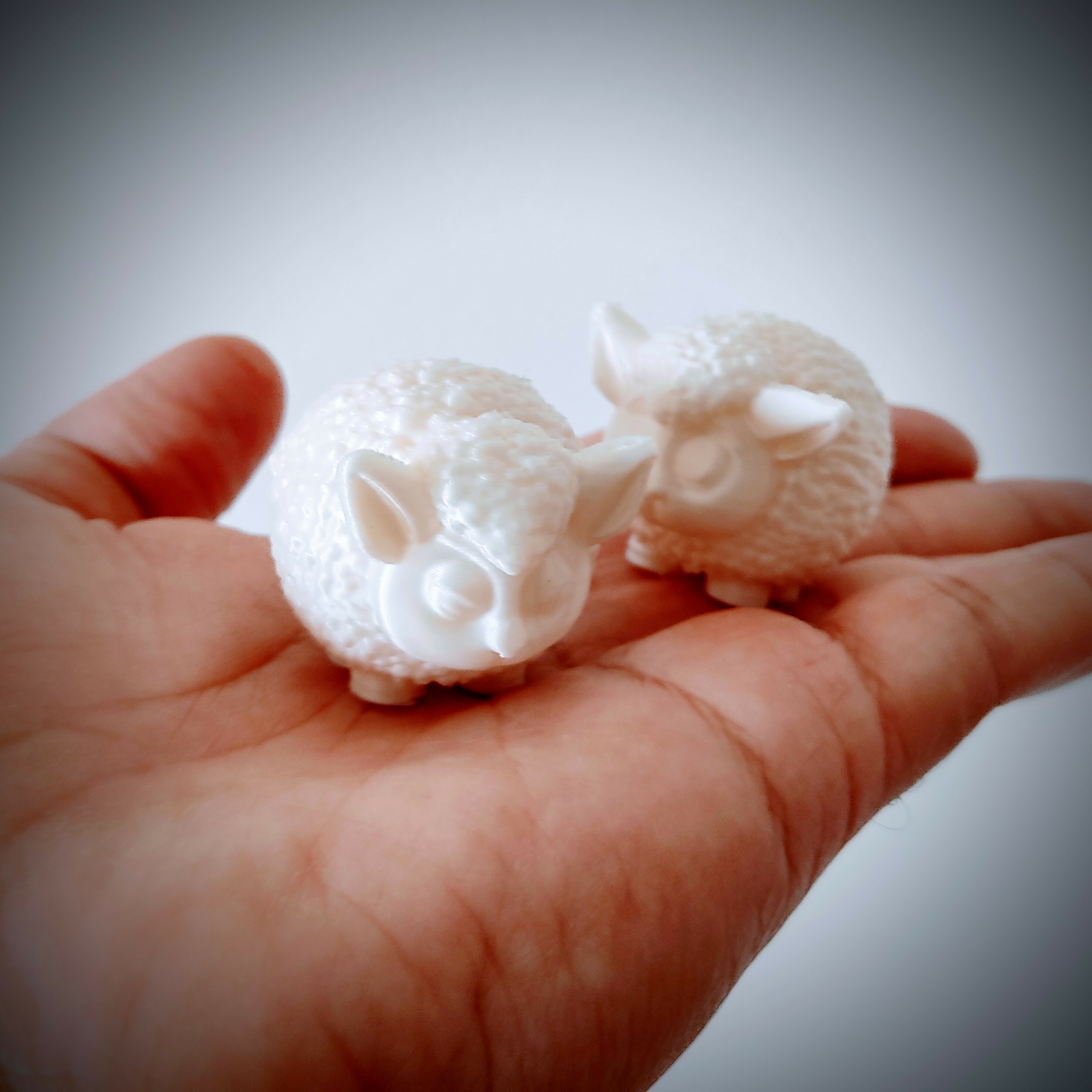 STL file 2 Cute Sheep for 3D printing 🐑・3D printing model to download・Cults