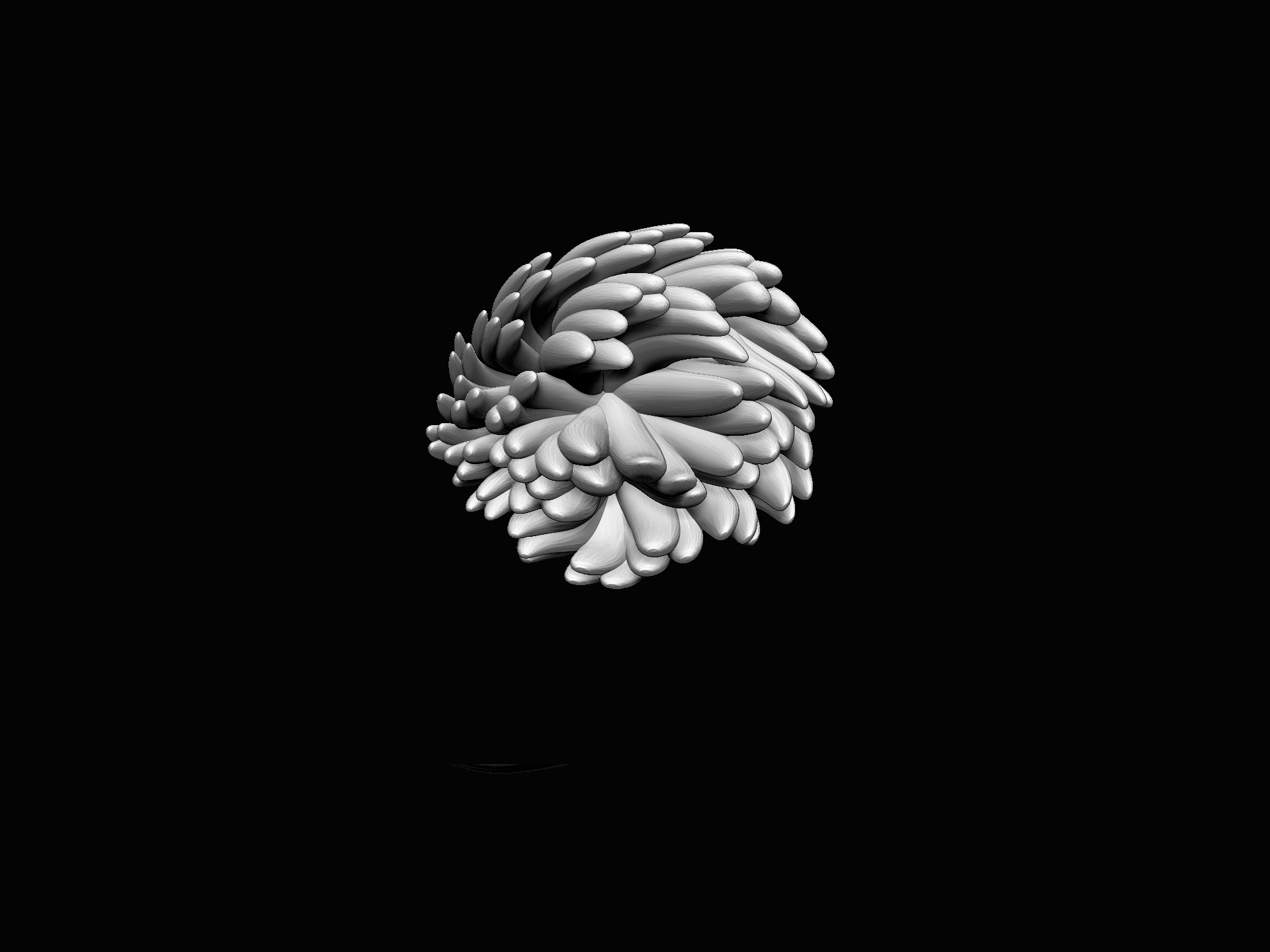 Reef Models Wallpaper