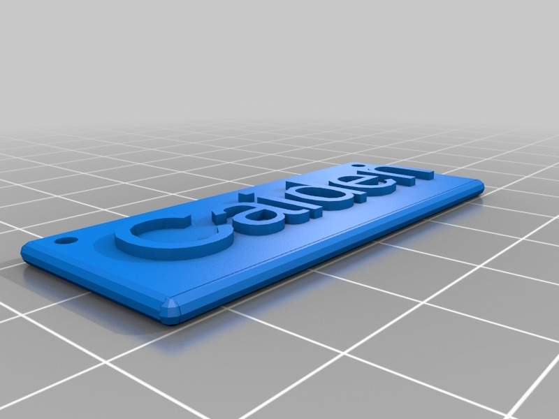 Free 3D file Caiden plate 🎨・Template to download and 3D print・Cults