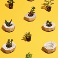 Download free 3D printing files Cactus Pots project by Mayku ・ Cults