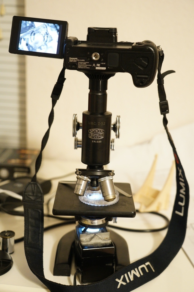 Free STL file Micro four-thirds to microscope monocular adapter・3D ...