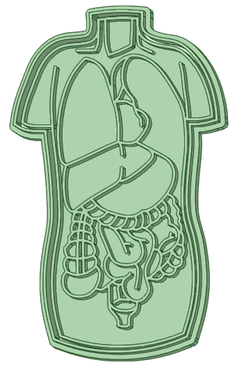 STL file Torso with cookie cutter organs・3D printable model to download ...